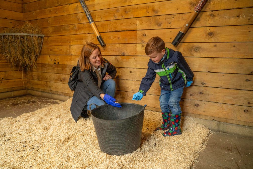 Zookeeper Experience for Kids | Hertfordshire Zoo