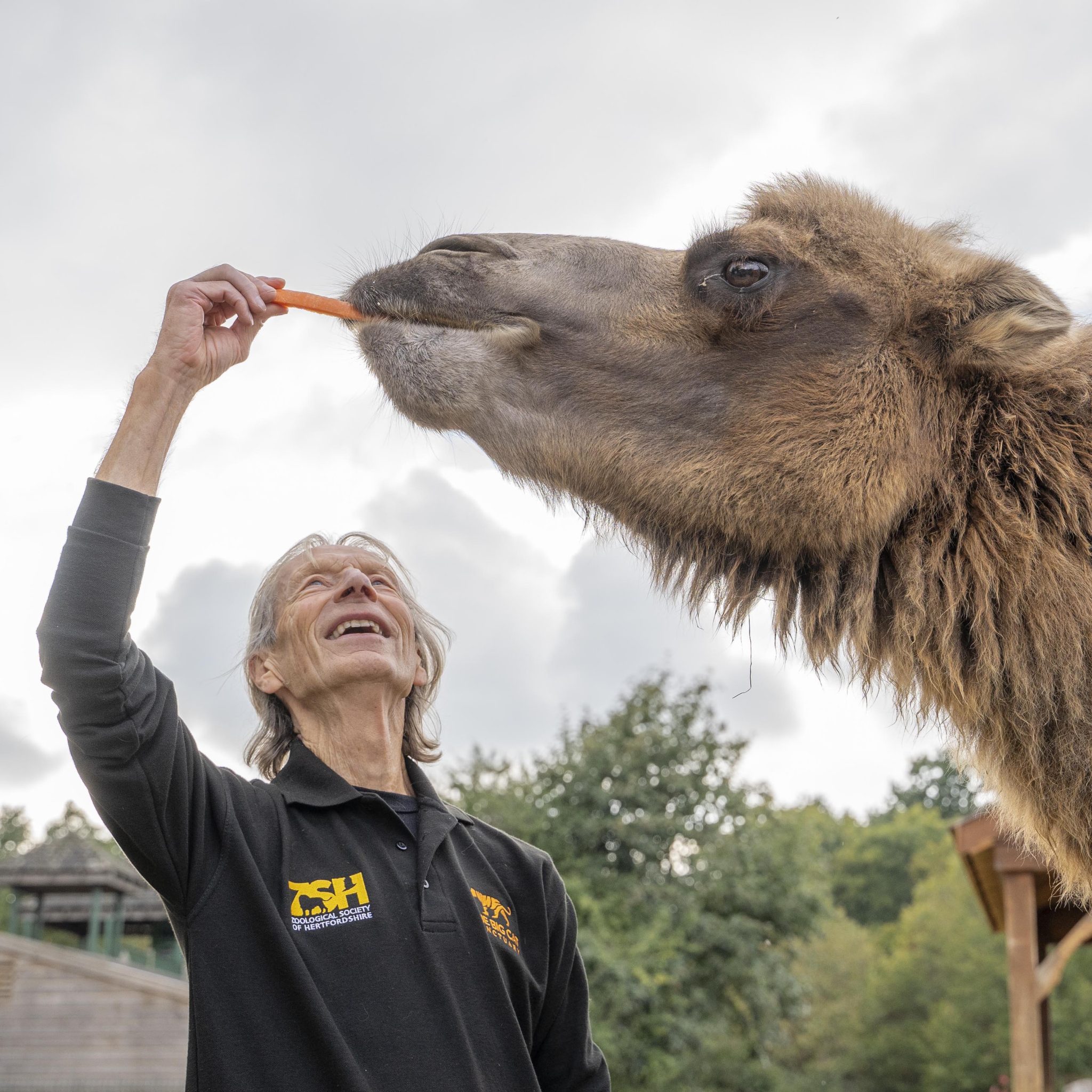 Celebrating Peter Sampson's 85th Birthday | Hertfordshire Zoo
