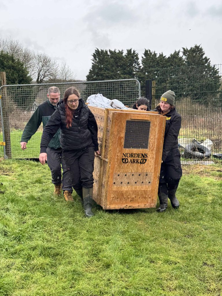 Saving 23 Exotic Cats from Euthanasia | Hertfordshire Zoo