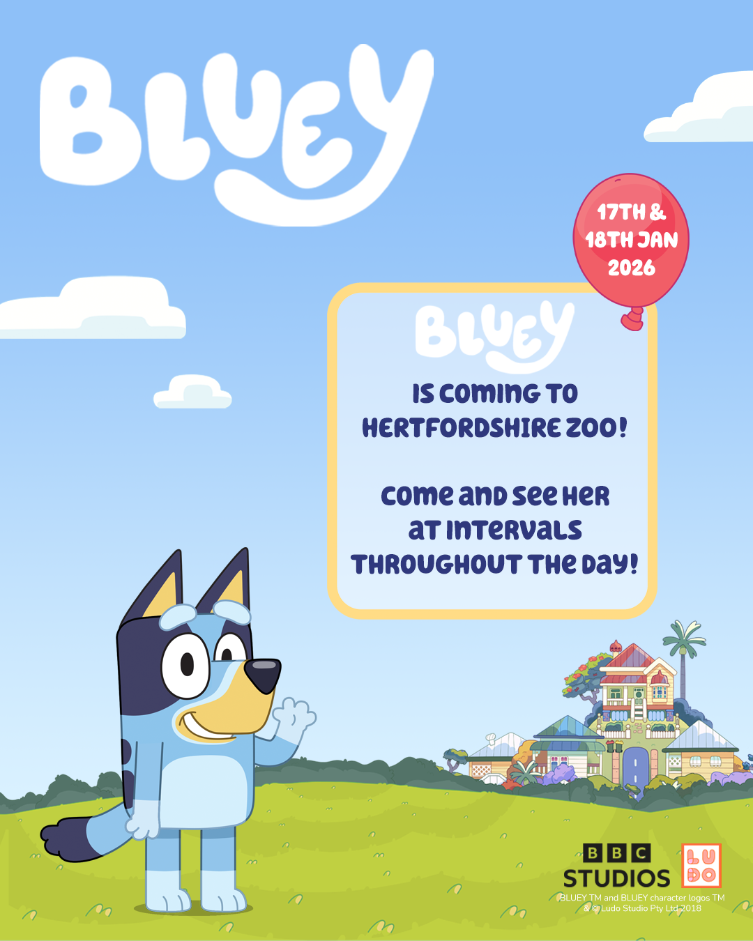 Bluey comes to Hertfordshire Zoo | Hertfordshire Zoo