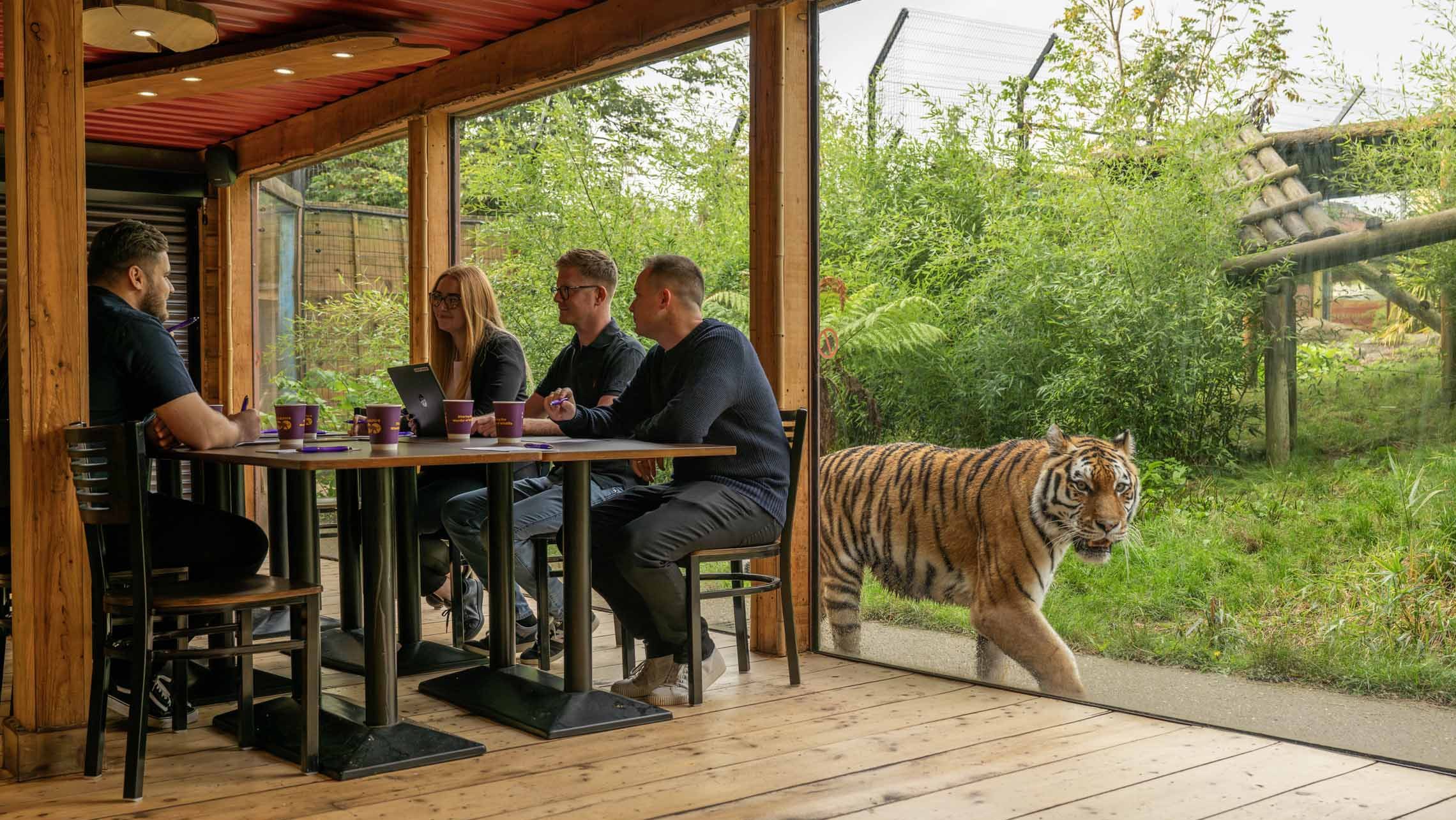 Unique Corporate Zoo Venue Hire | Hertfordshire Zoo