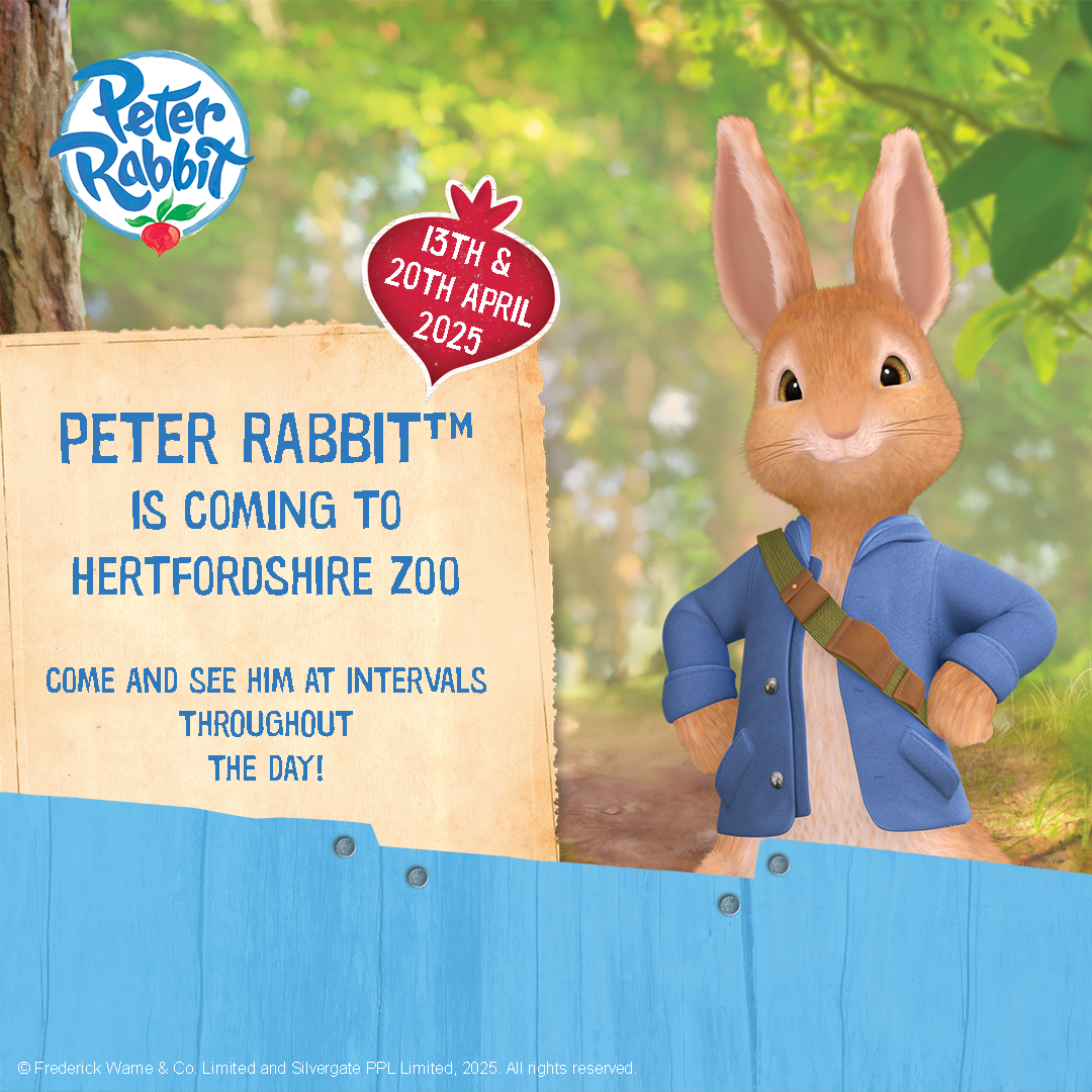 Top 5 Things to Do This Easter! | Hertfordshire Zoo