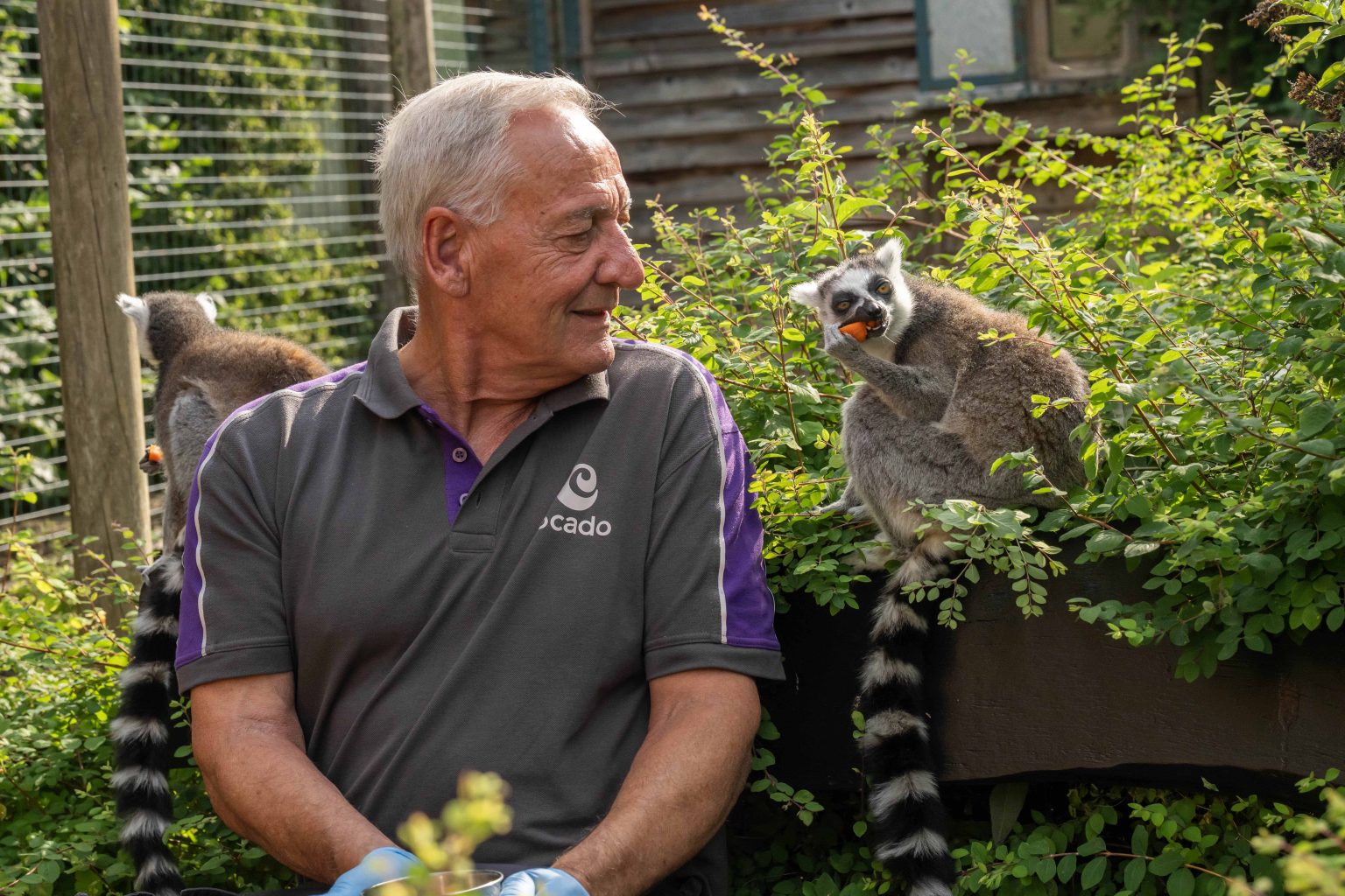 Ocado Surplus Food goes further! | Hertfordshire Zoo