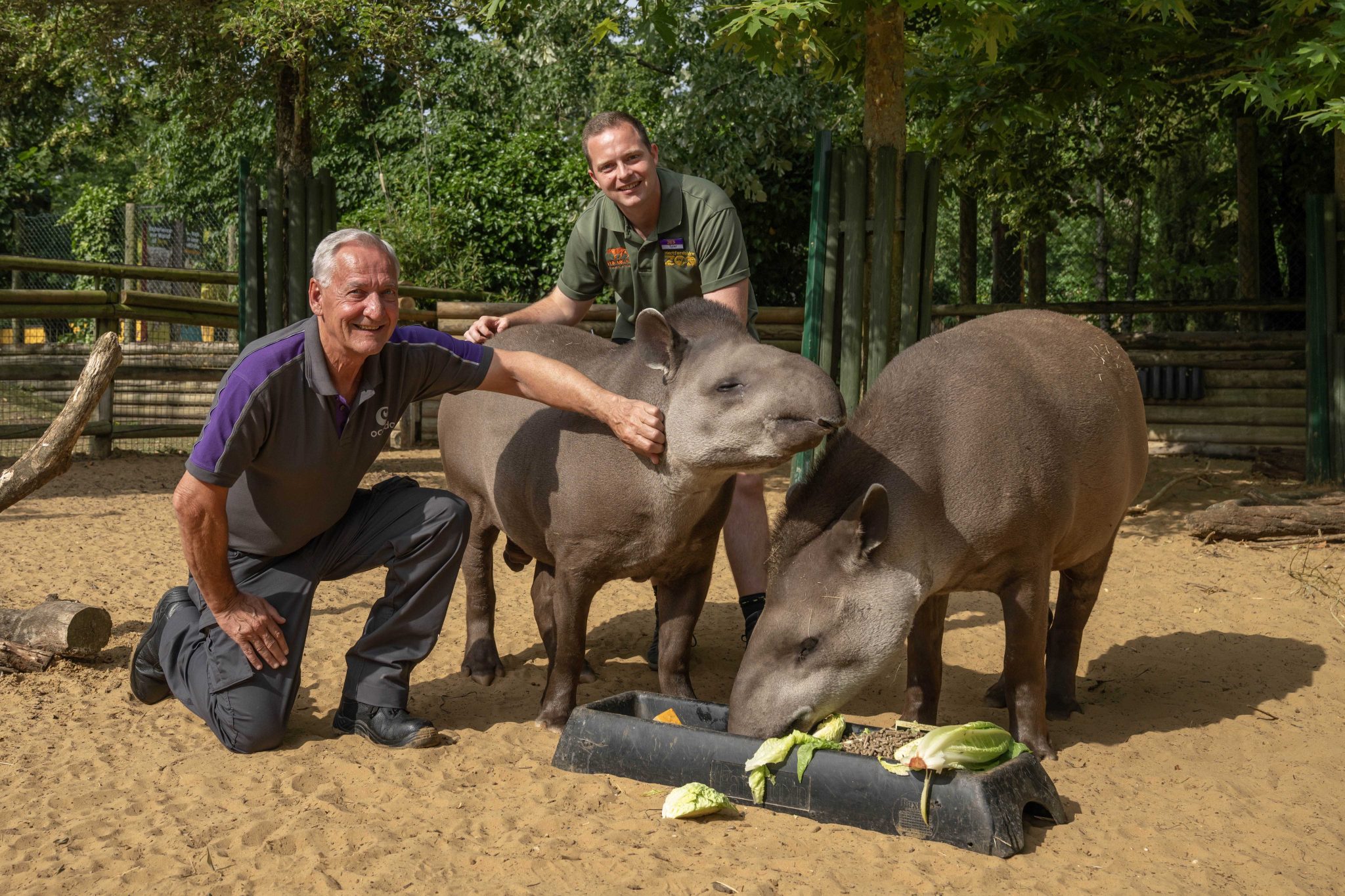 Ocado Surplus Food goes further! | Hertfordshire Zoo