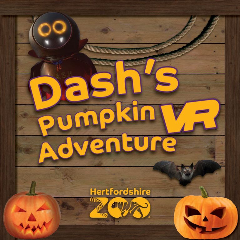 Adventure Crazy Golf | Hertfordshire Zoo