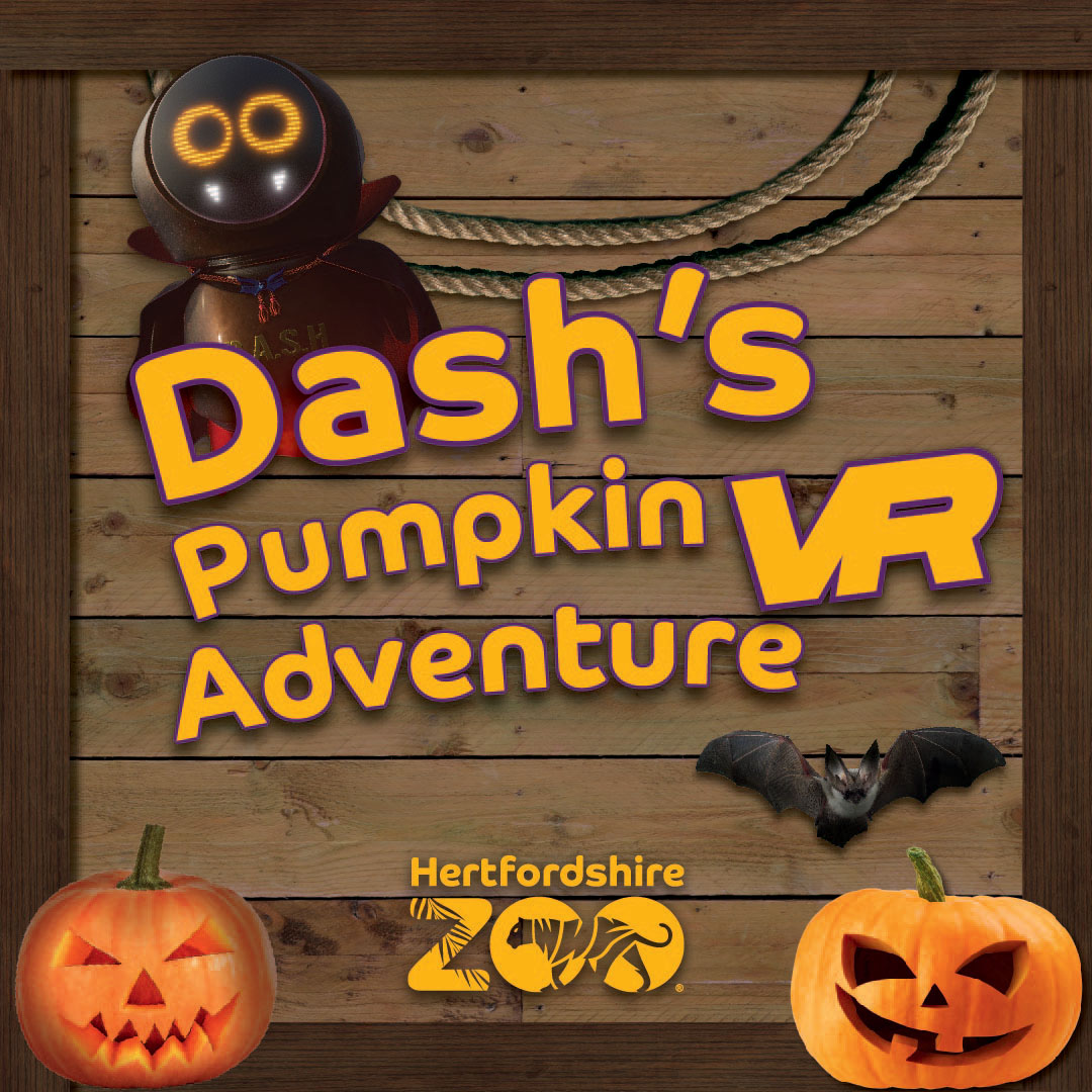 Adventure Crazy Golf | Hertfordshire Zoo